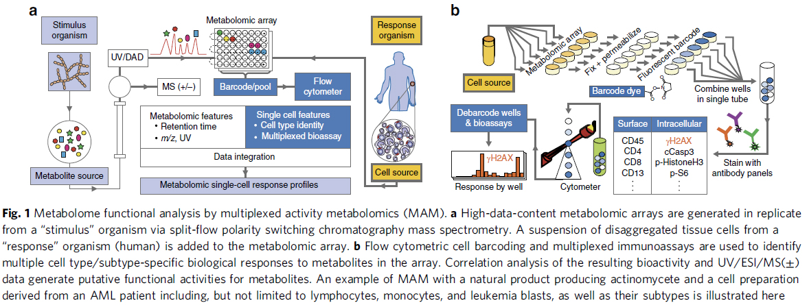 Published: Earl & Ferrell et al., Nature Communications 2018 – Irish Lab